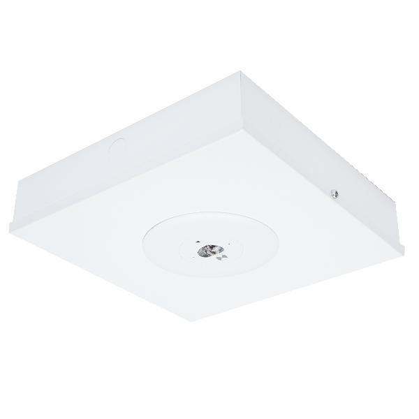 LED Corridor Light 6W | Lithium Battery Backup | Surface Mount | White ...