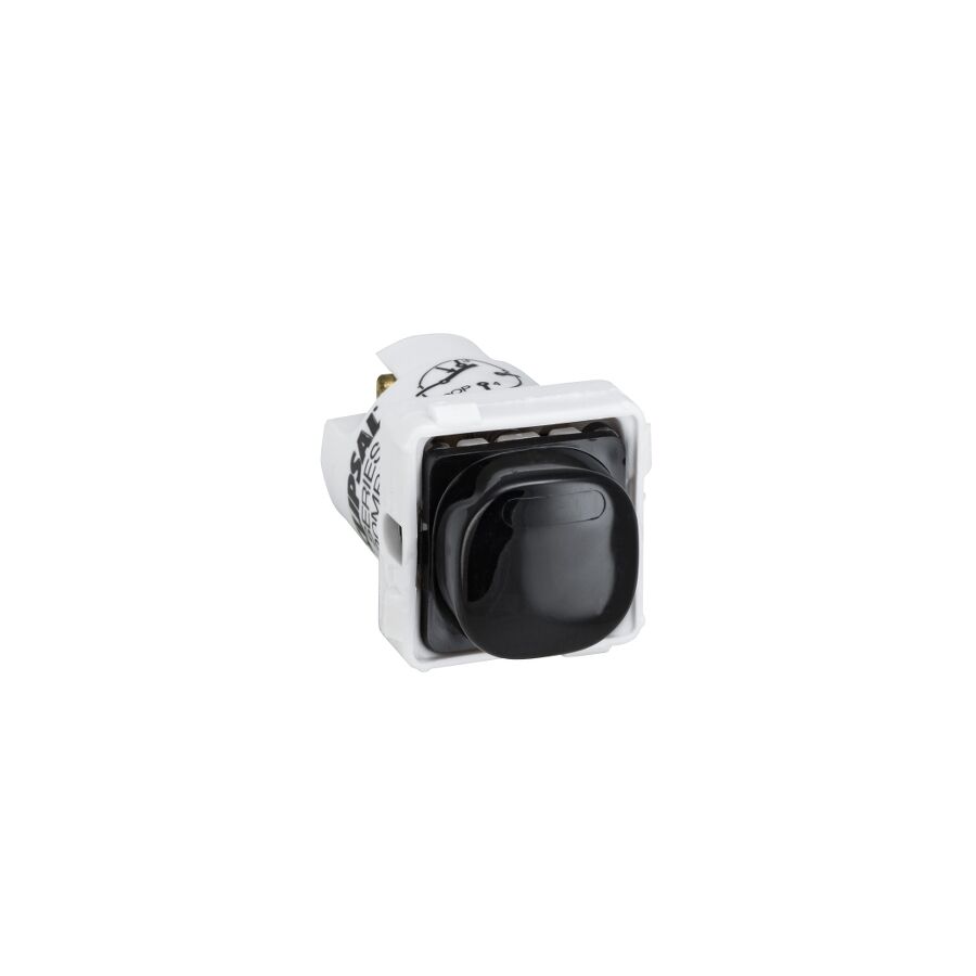 Switch Mechanism 250V 15A | Momentary Push-Button | Flush Mounting by ...