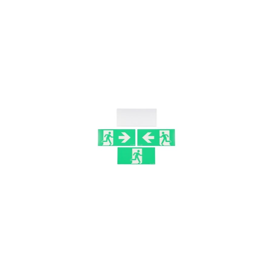 Emergency Diffuser Quickfit CCFL Picto-Straight NHP - 31PQFCC