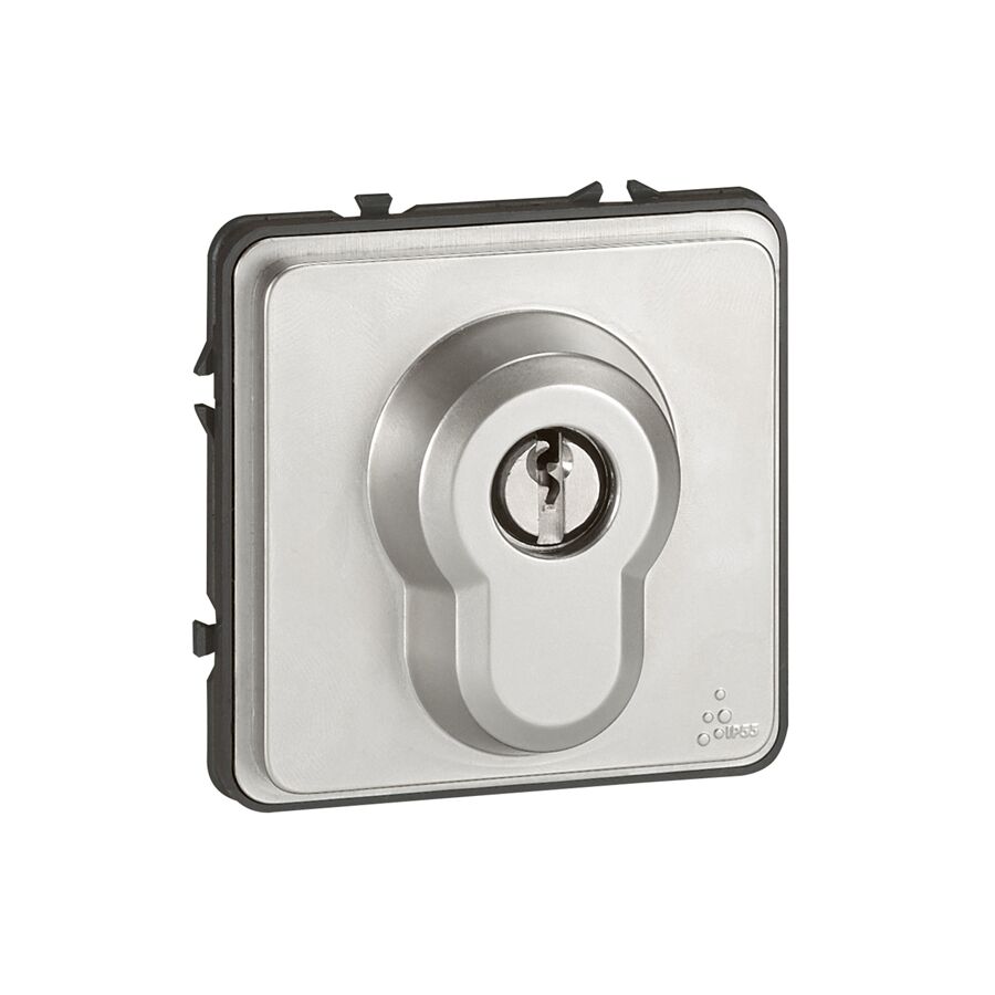 Double Pole Key Switch Mechanism | IP54 & IK10 Rated | 6A 230V AC ...