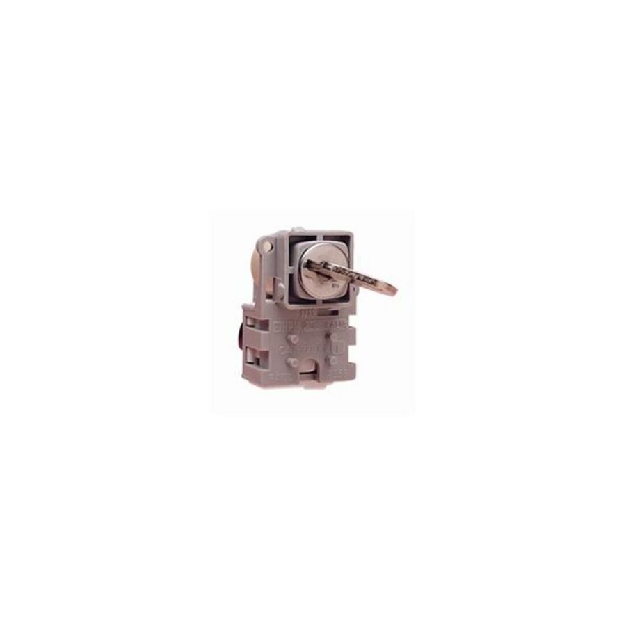 HPM Standard 10A Vertical Keylock Switch | SPDT Configuration ...