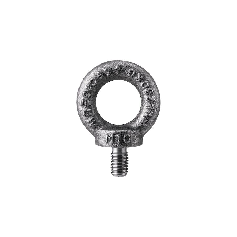 Ring Screw DIN 580 | Case Hardening Steel C15E | 1200 kg Load Capacity ...