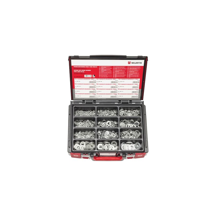 Locking Disc Spring Washers Z & M Assortment | 700 Pieces | GEOMET®321 ...