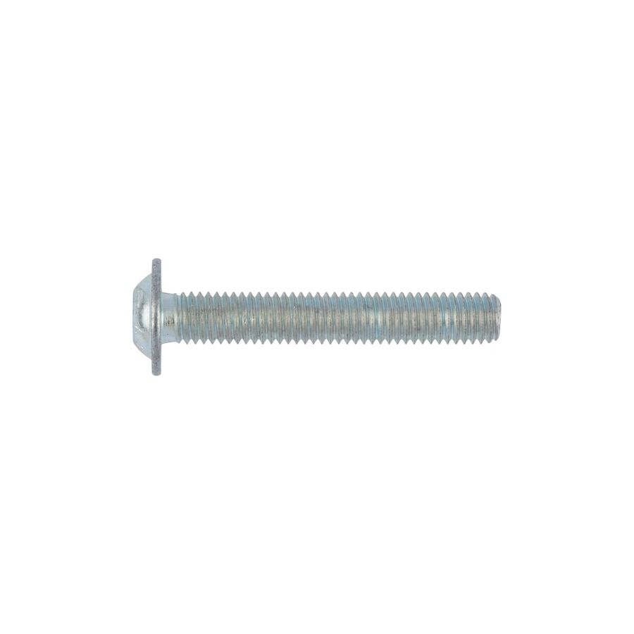 Screw with Flattened Half Round Head | Steel 10.9 | Zinc-Plated & Blue ...