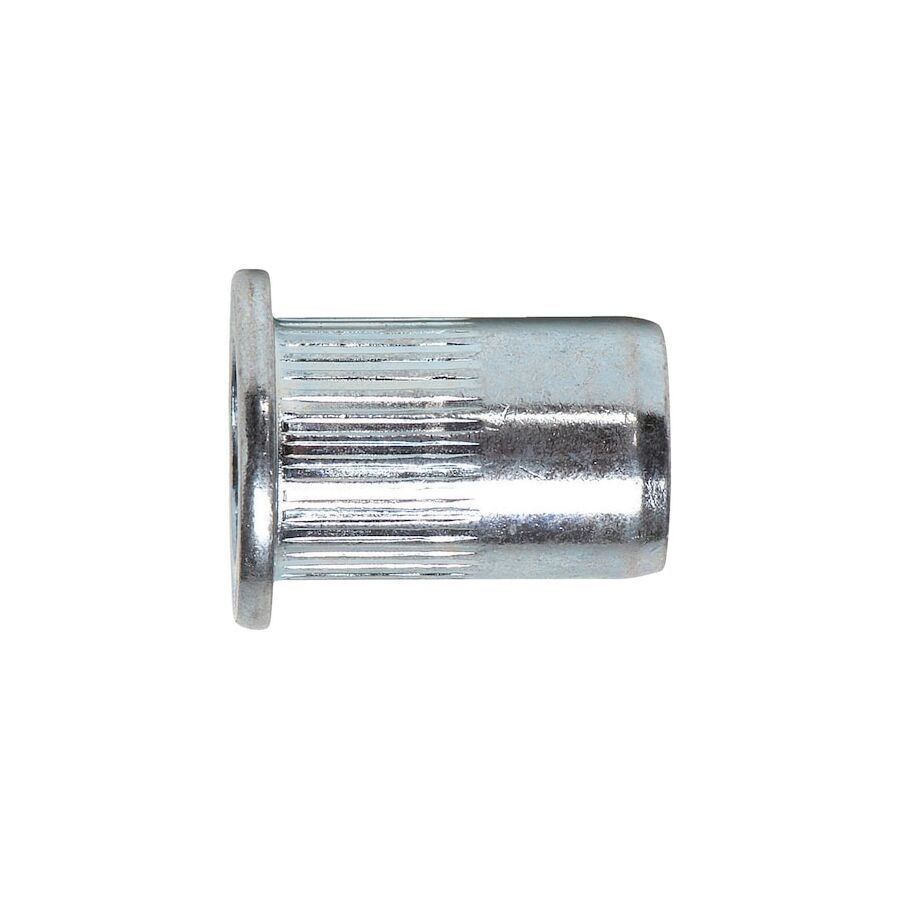 M10 Dome Head Rivet Nut | Zinc Plated Steel | Knurled Shaft | Chrome ...