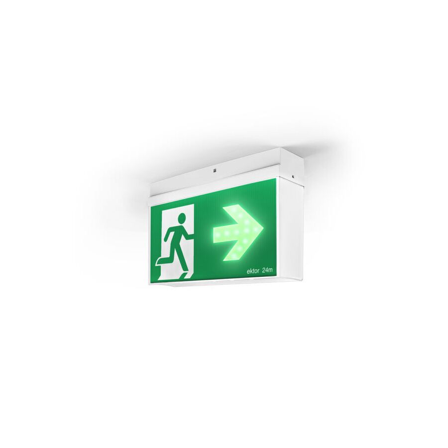 Dynamic Emergency Exit Light | Wireless Driver | Maintained Mode | 90 ...
